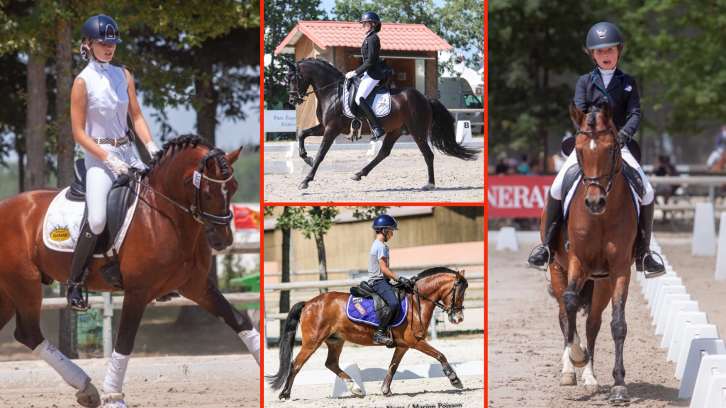 Nous n’aurons pas de Champions de France en 2020. - Equestrian News