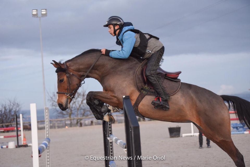 9 (très bonnes) raisons d'avoir un cheval bai - Equestrian News