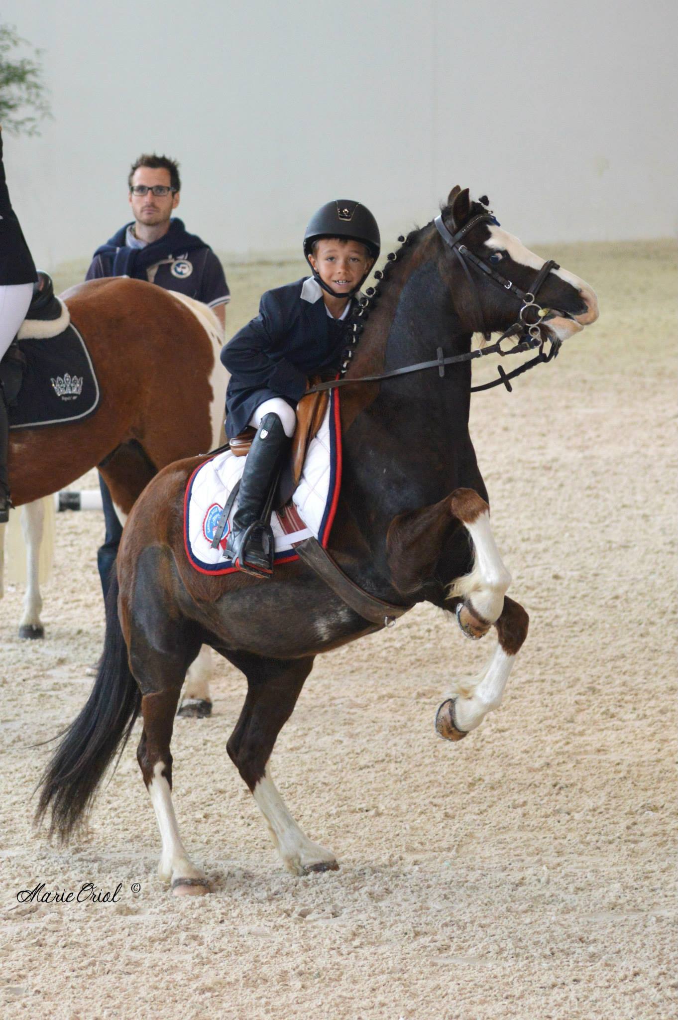 9 (très bonnes) raisons d'avoir un cheval bai - Equestrian News