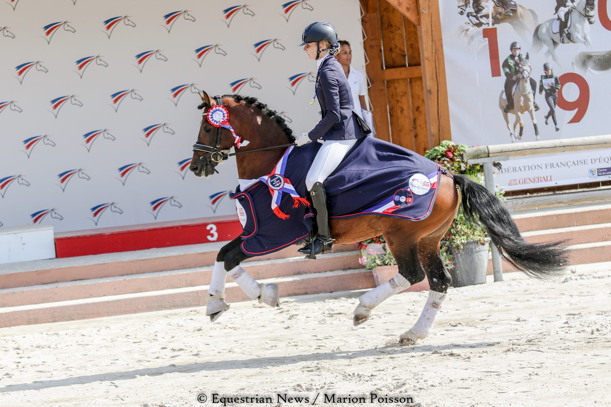 9 (très bonnes) raisons d'avoir un cheval bai - Equestrian News