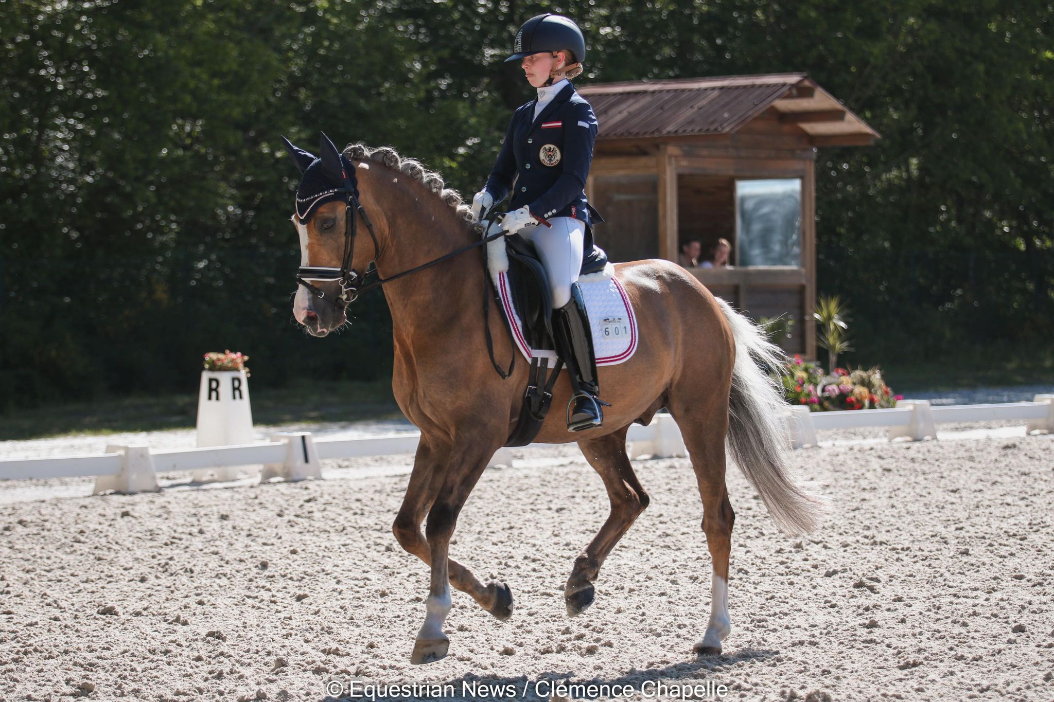 Les 10 (très bonnes) raisons d'avoir un alezan - Equestrian News
