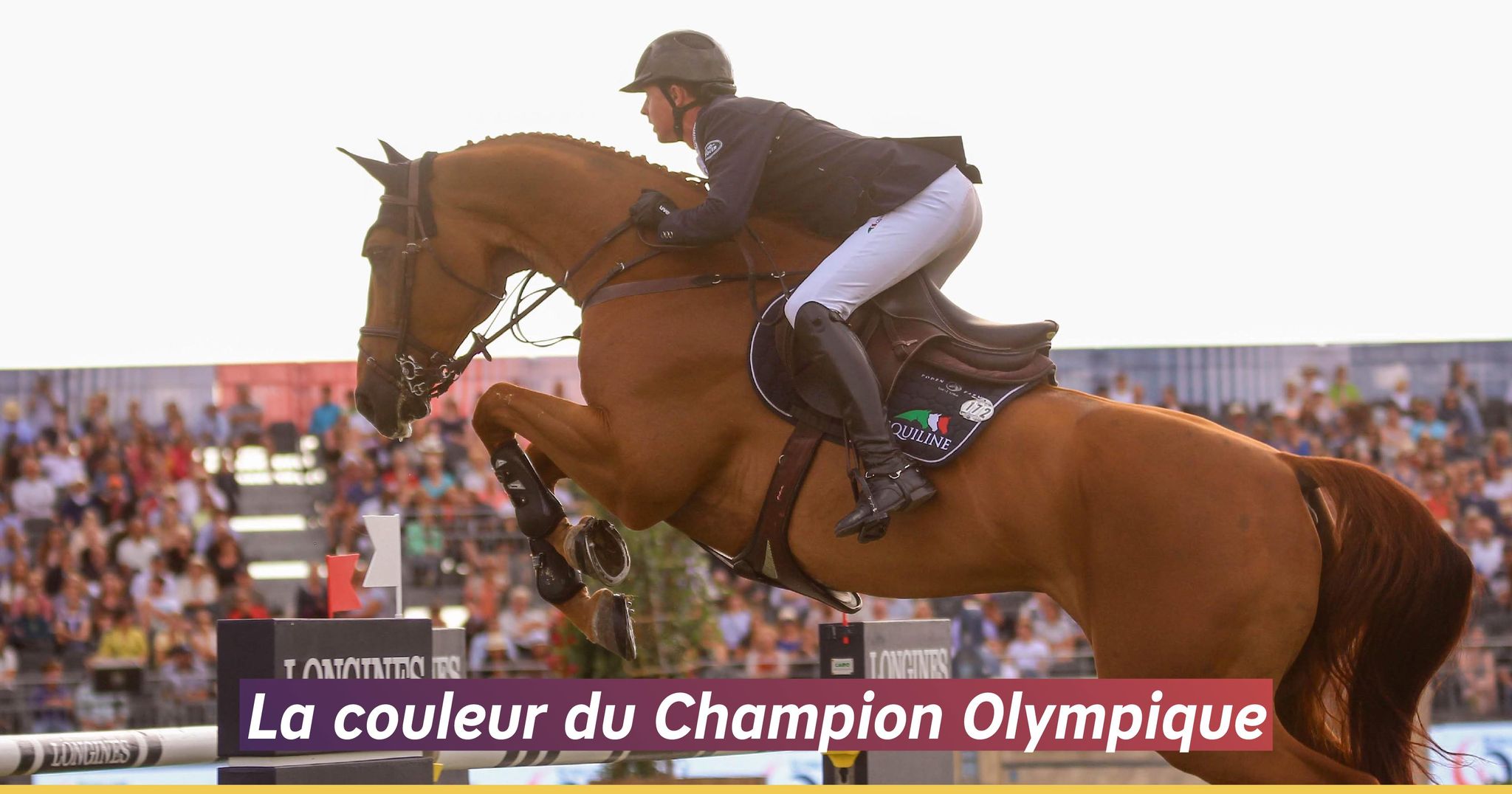 Les 10 (très bonnes) raisons d'avoir un alezan - Equestrian News
