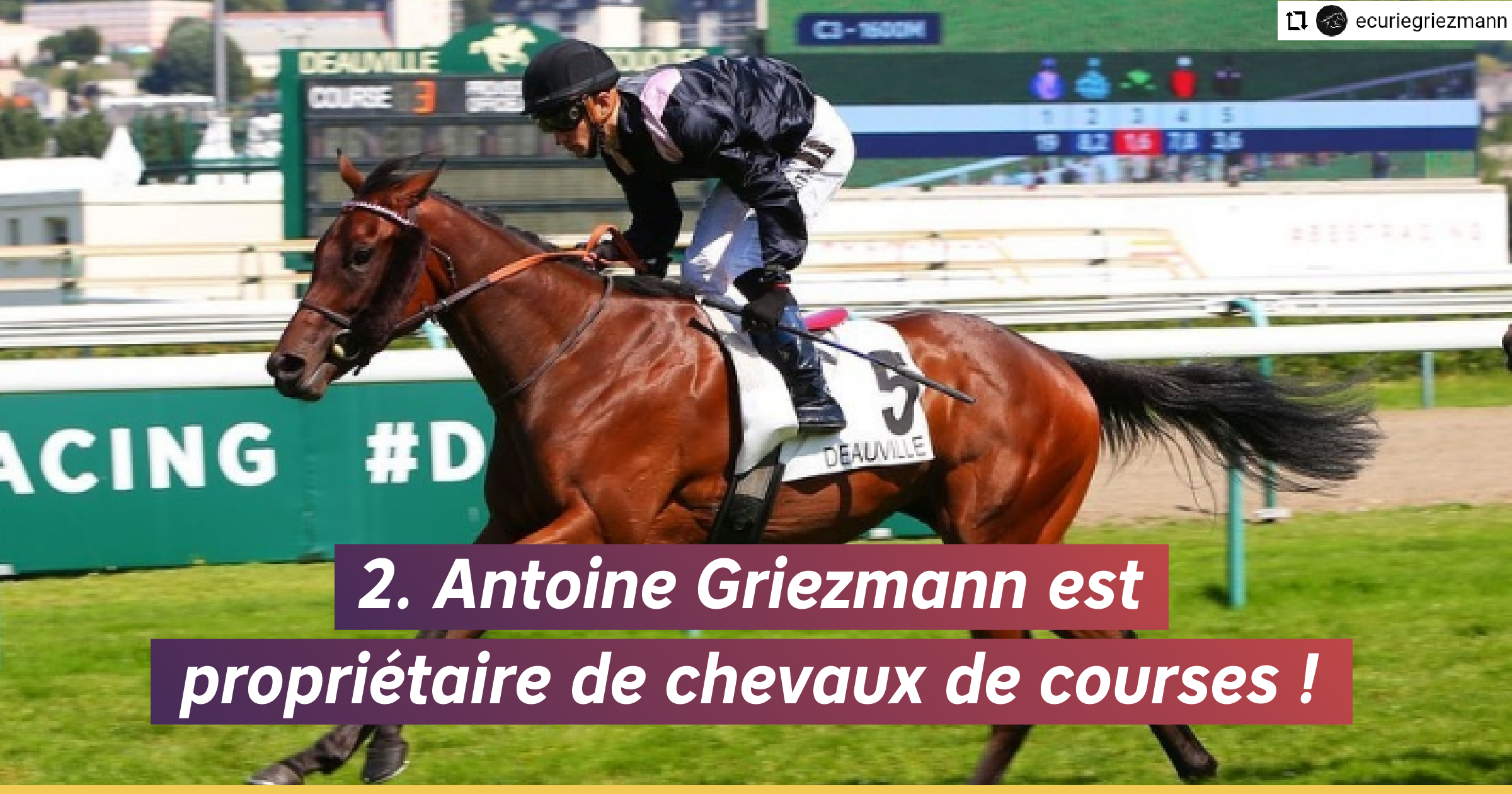 10 stars propriétaires de chevaux - Equestrian News