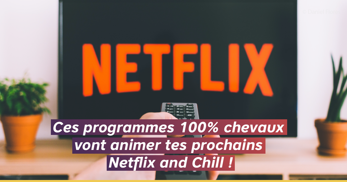 Les incontournables équestres sur Netflix - Equestrian News