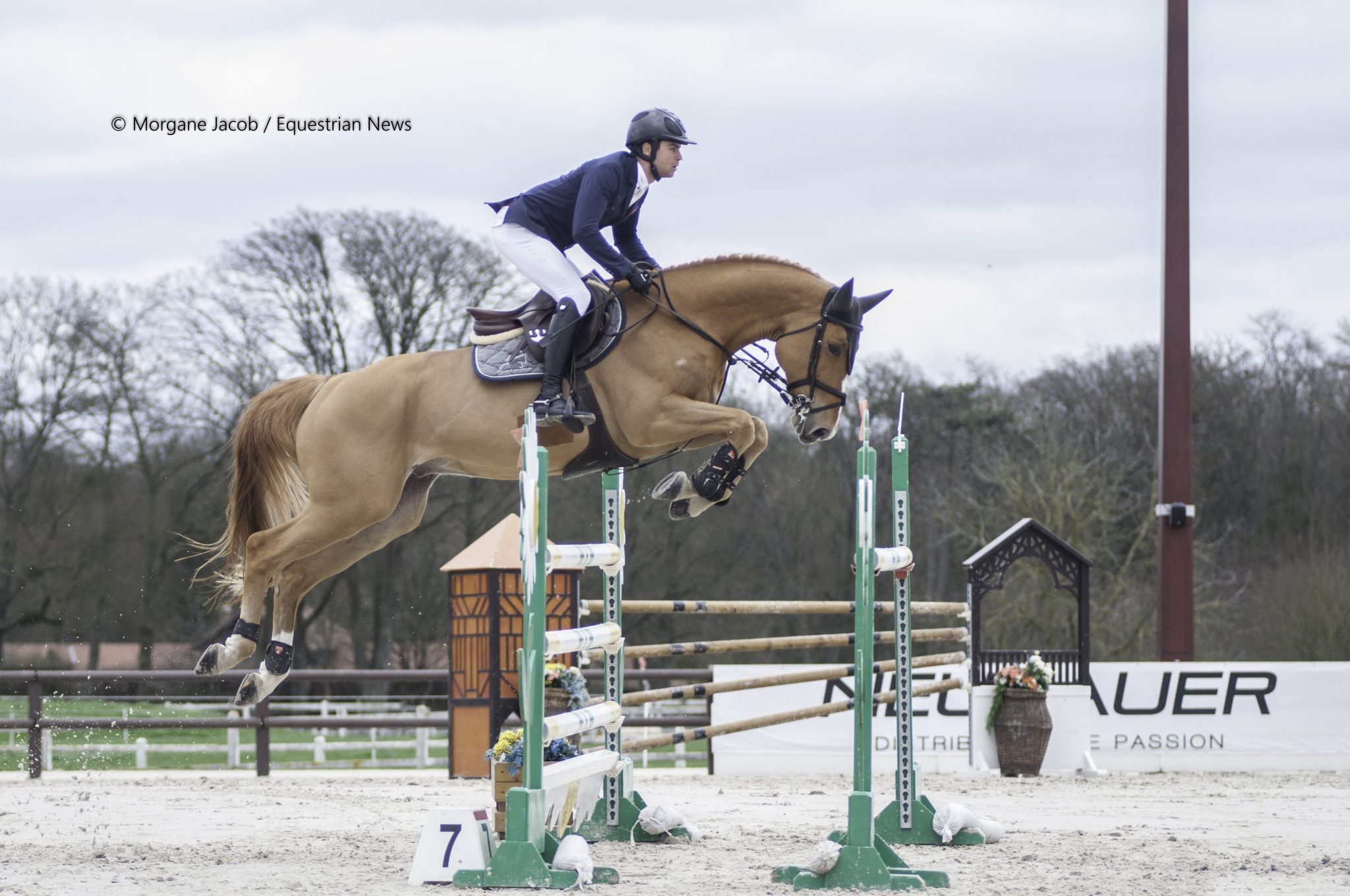 Les 10 commandements du cavalier de CSO - Equestrian News