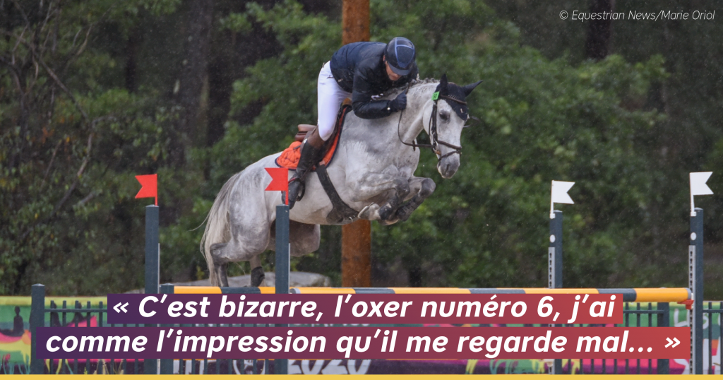 La reconnaissance - version honnête - Equestrian News