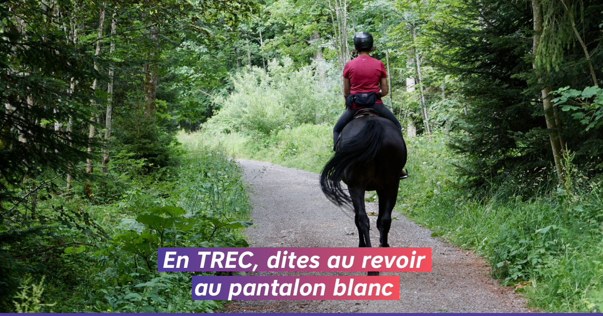 TREC : 10 choses que vous ne saviez pas - Equestrian News