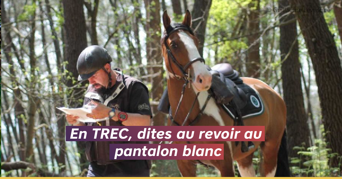 TREC : 10 choses que vous ne saviez pas - Equestrian News