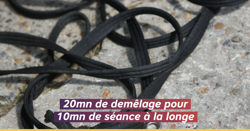 Une séance à la longe - version honnête - Equestrian News