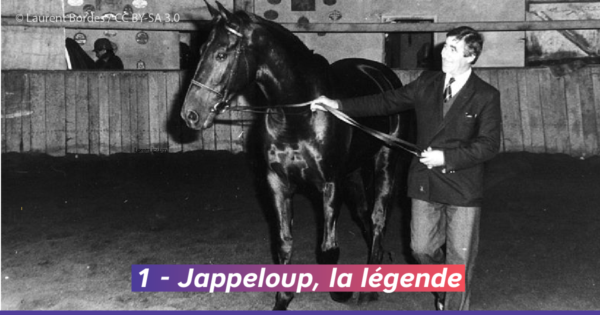 10 chevaux célèbres de l'histoire - Equestrian News