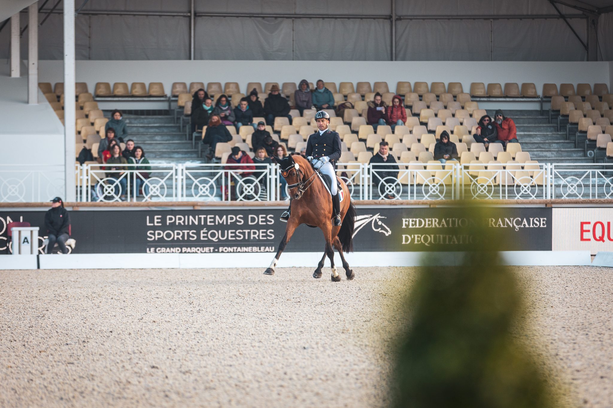 Jolène, la dulcinée d’Alexandre Ayache - Equestrian News