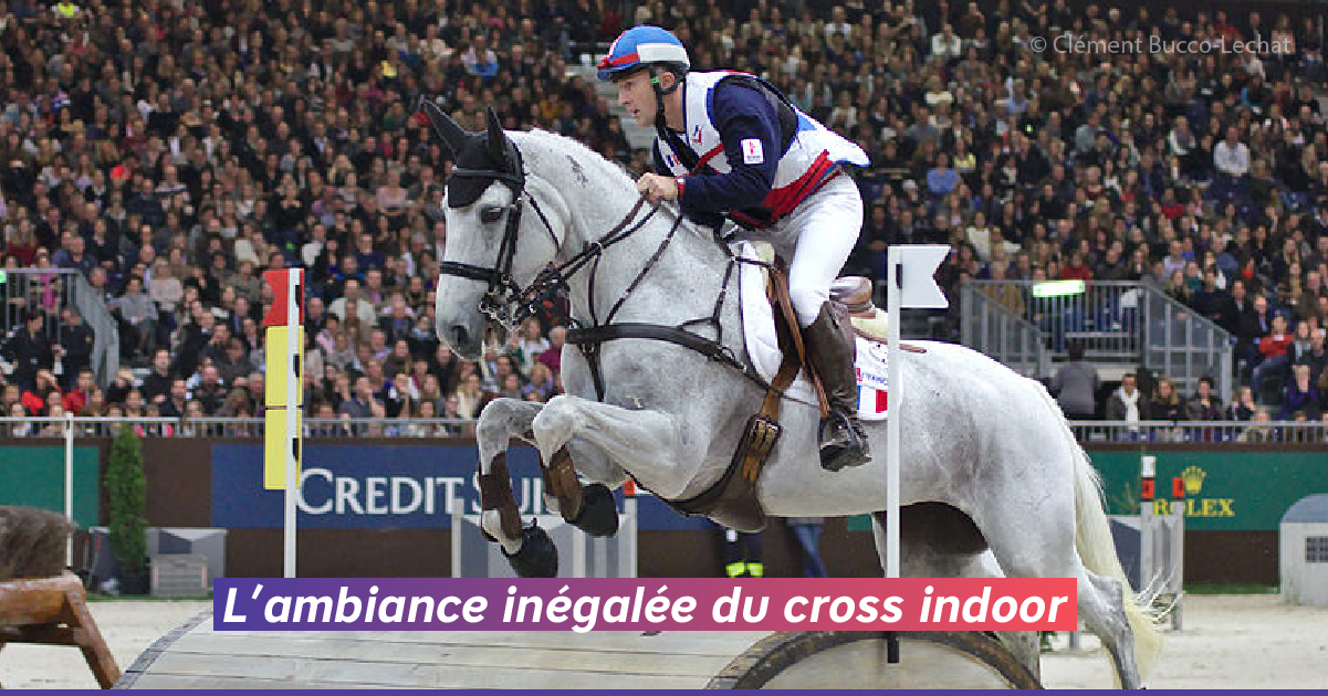 Le cross indoor : pourquoi adorer cette discipline ? - Equestrian News